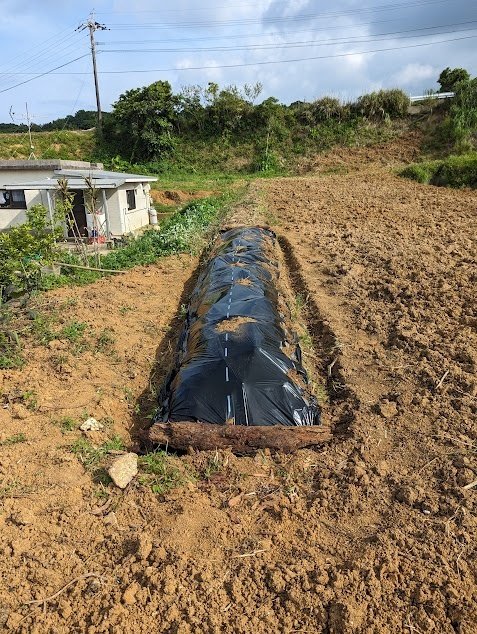 異変は突然訪れた｜koichi kimoto