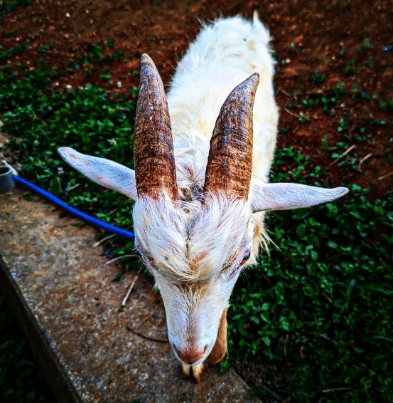 異変は突然訪れた｜koichi kimoto