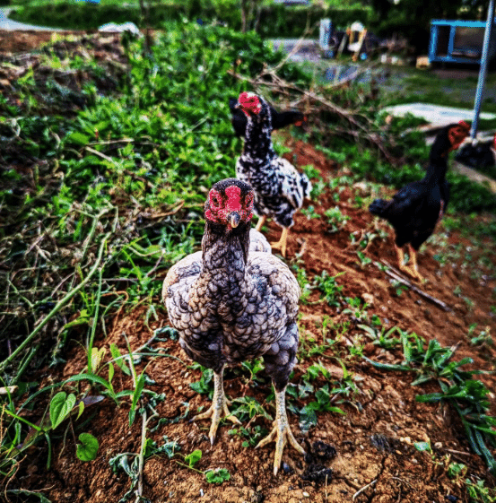 異変は突然訪れた｜koichi kimoto