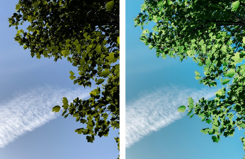 Xを始めて4ヶ月。忘れられない2日間の記録。｜seina