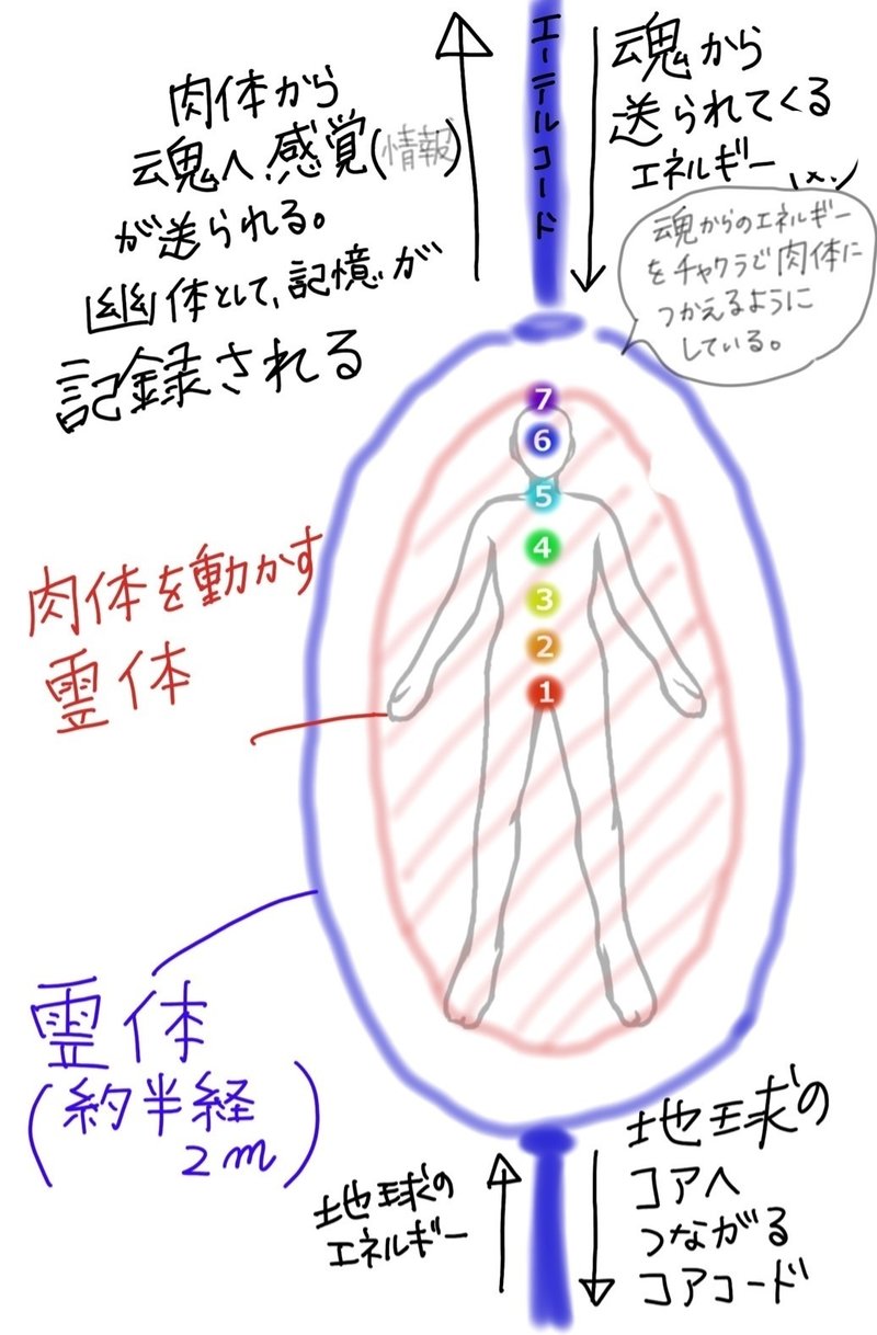 対談動画とその補足記事まとめ|ノリコ