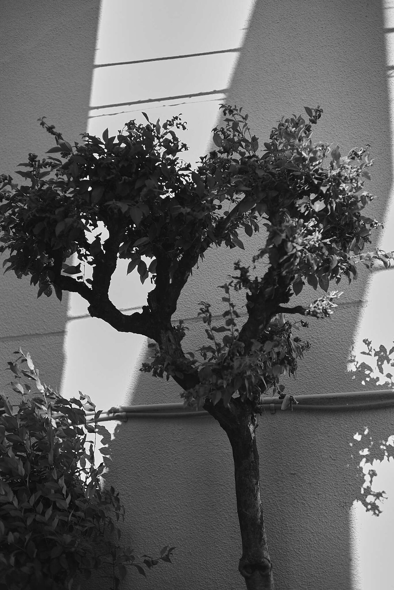 declic | Kenji Miura｜note