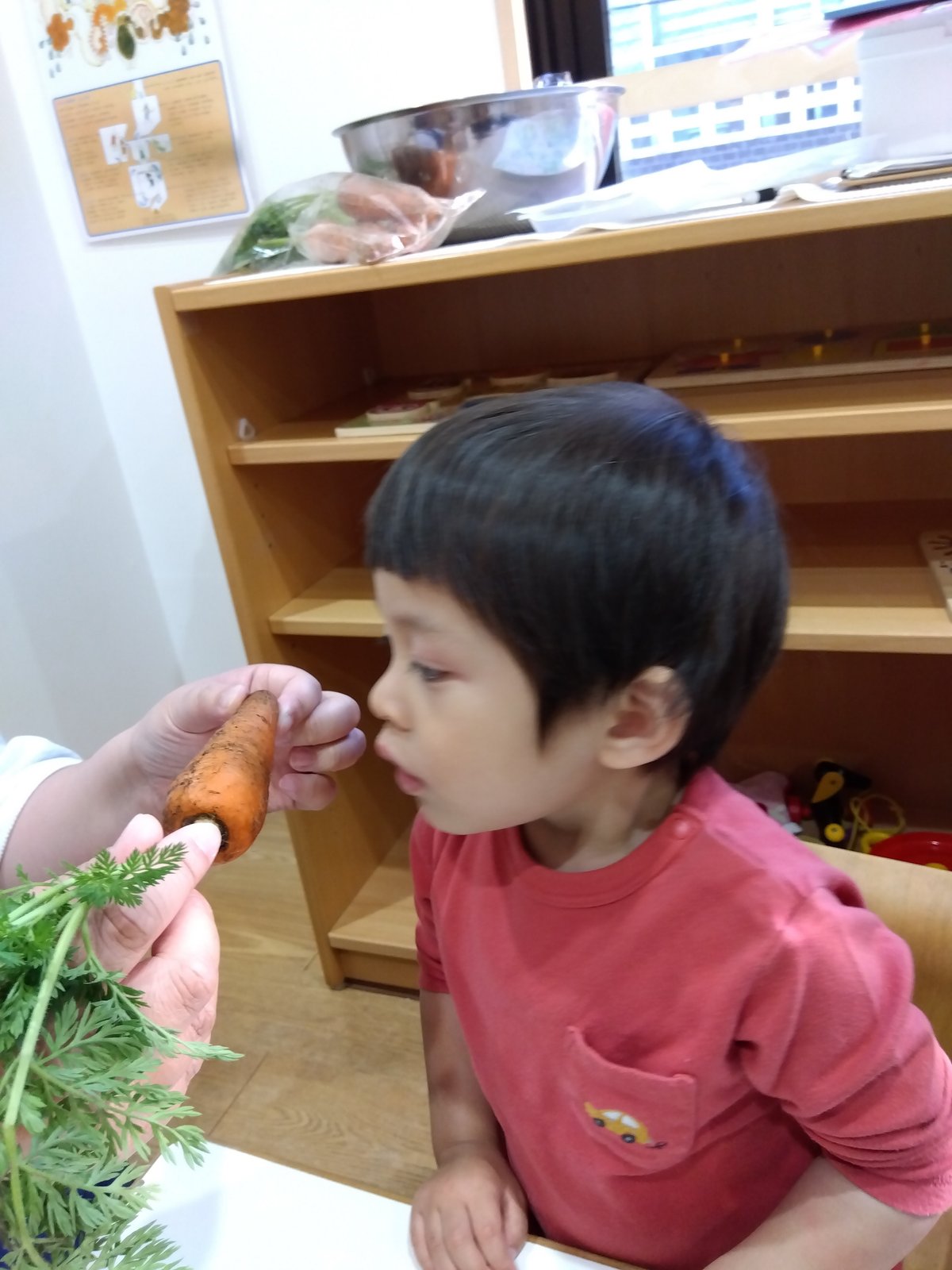 食育「にんじんそだてたーい！！」(マフィス横濱元町)｜Maffice -マフィス- | 保育専用note