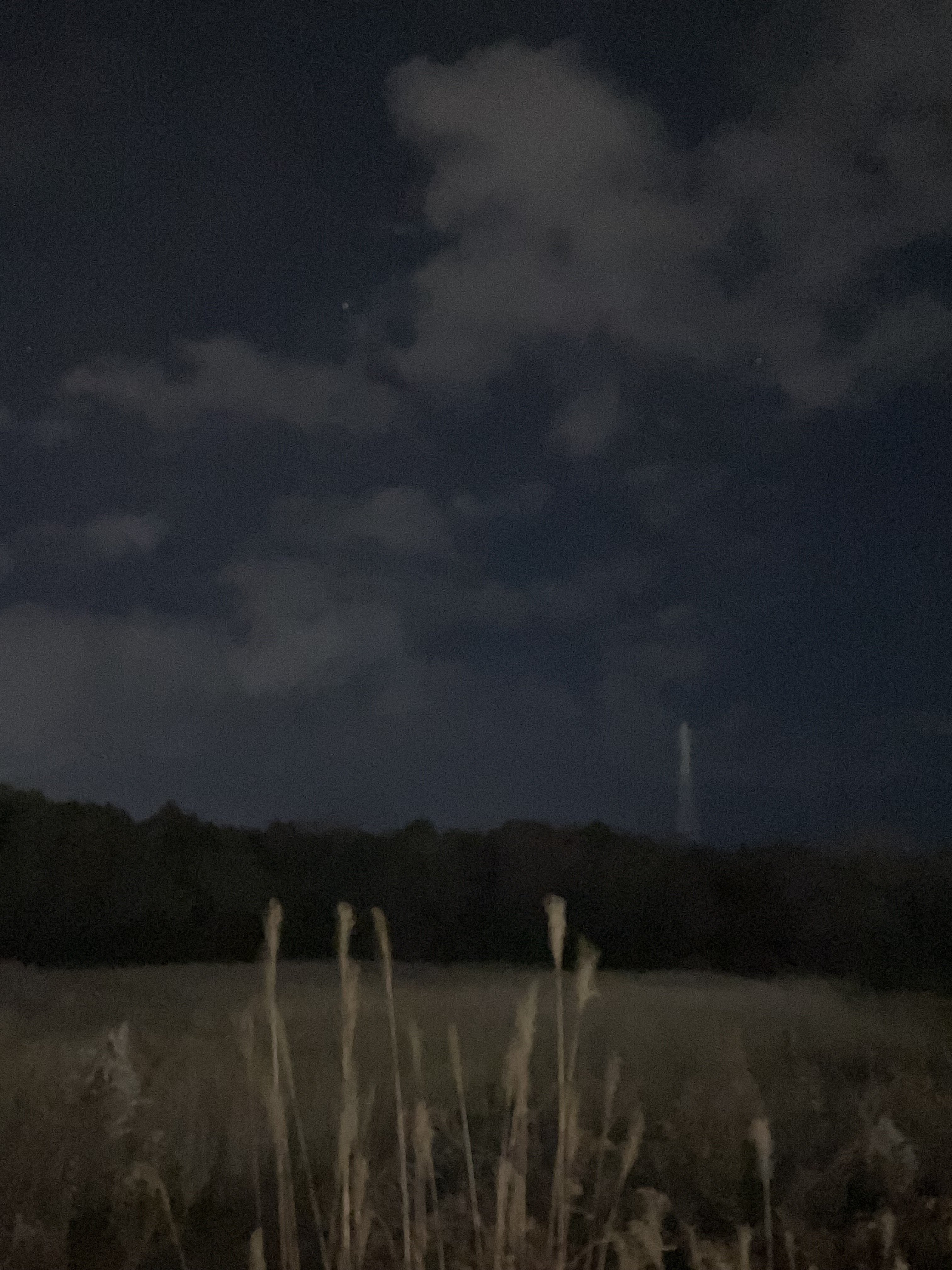 Roupanicocsenu（bryi）o｜エムエルンド