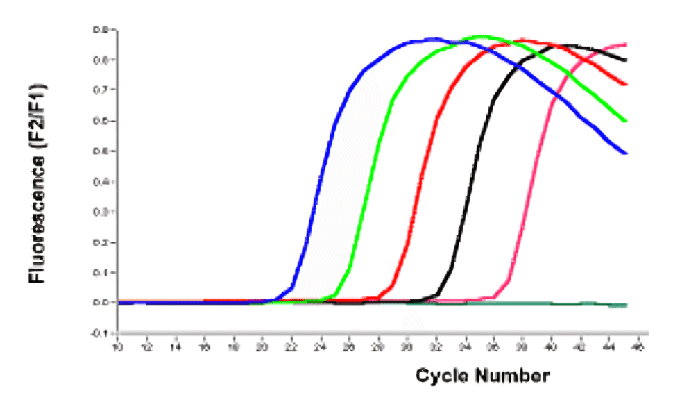 リアルタイムPCR（qPCR）：包括的な概要｜avantorjapan