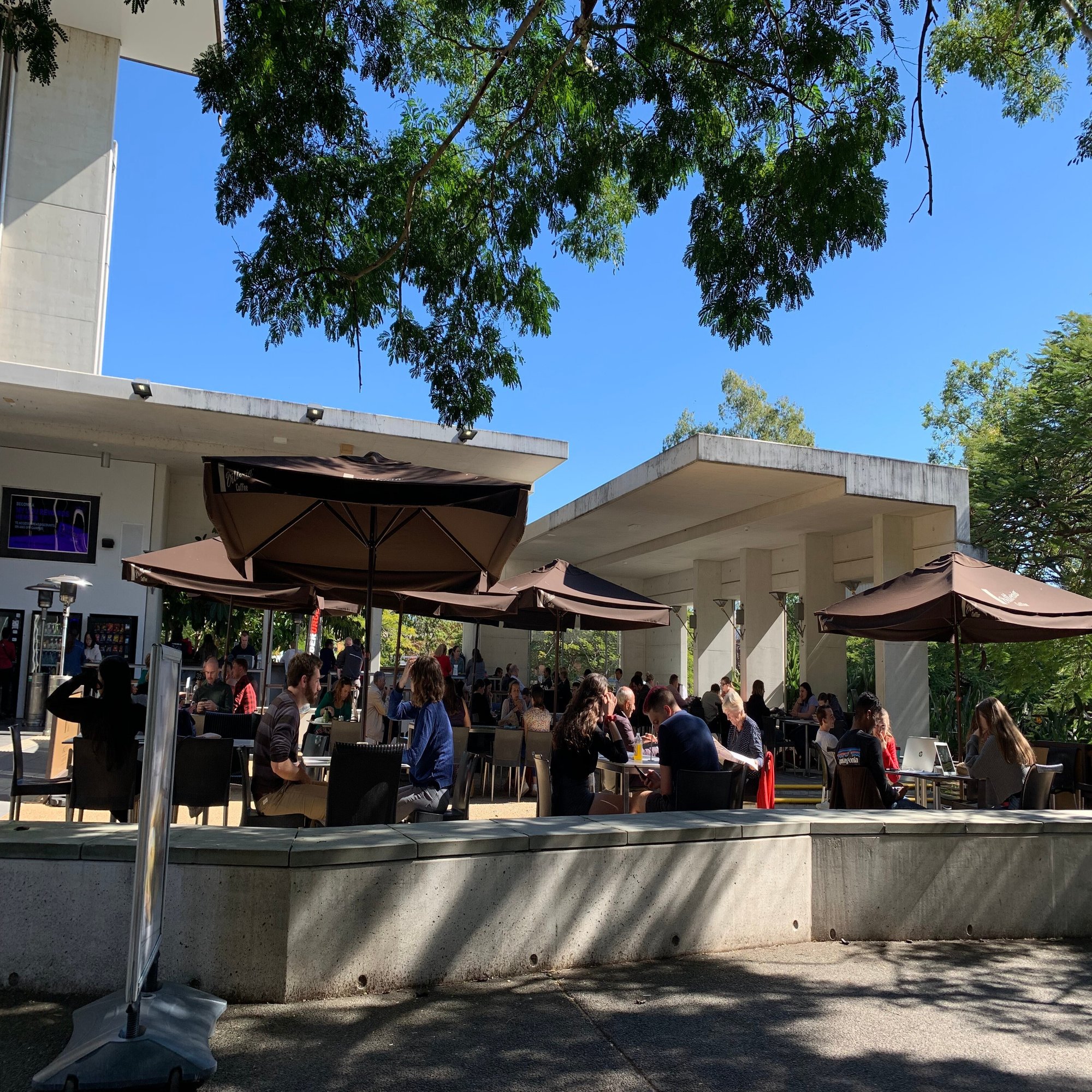 上田一輝｜Ikki Ueda