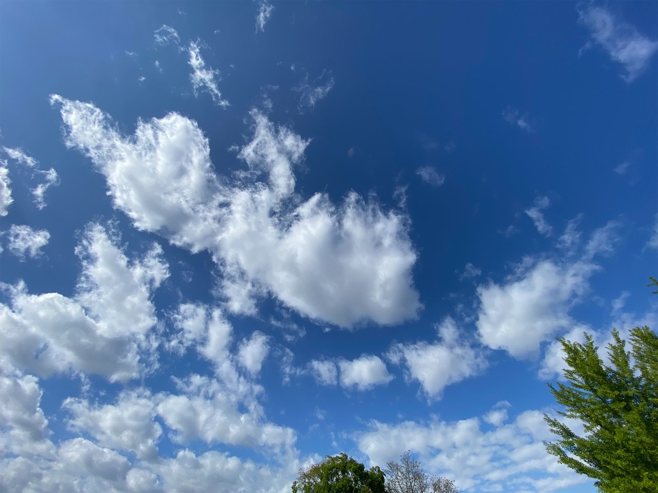 まさ / Atelier Masa｜note