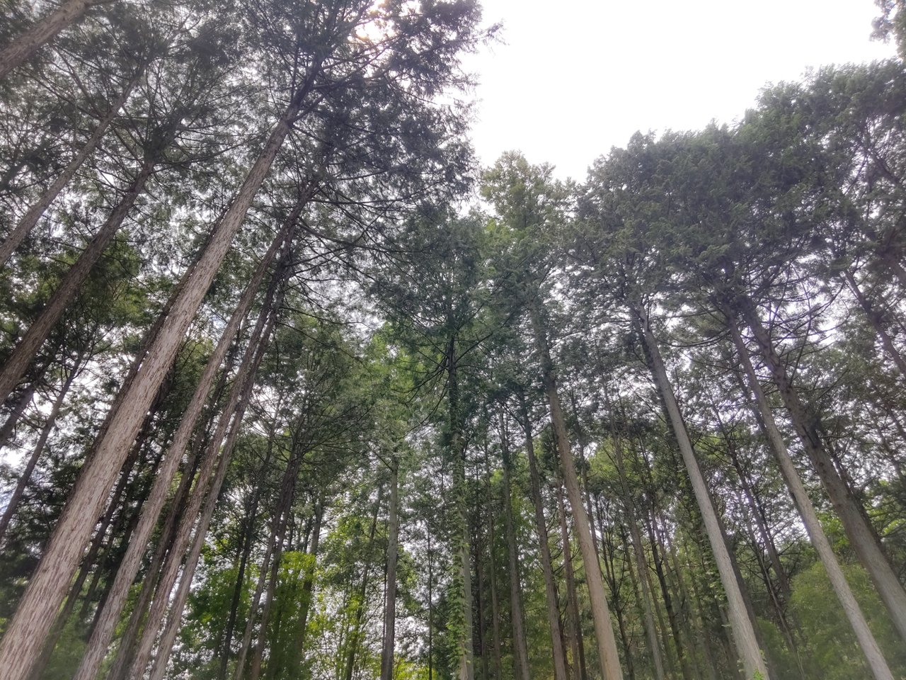 Roria's Moonroom｜note