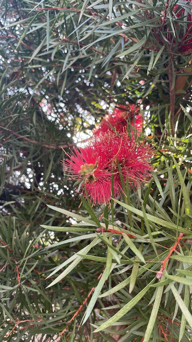 invitation for the secret base｜YUKARINのヘソだしクラブ