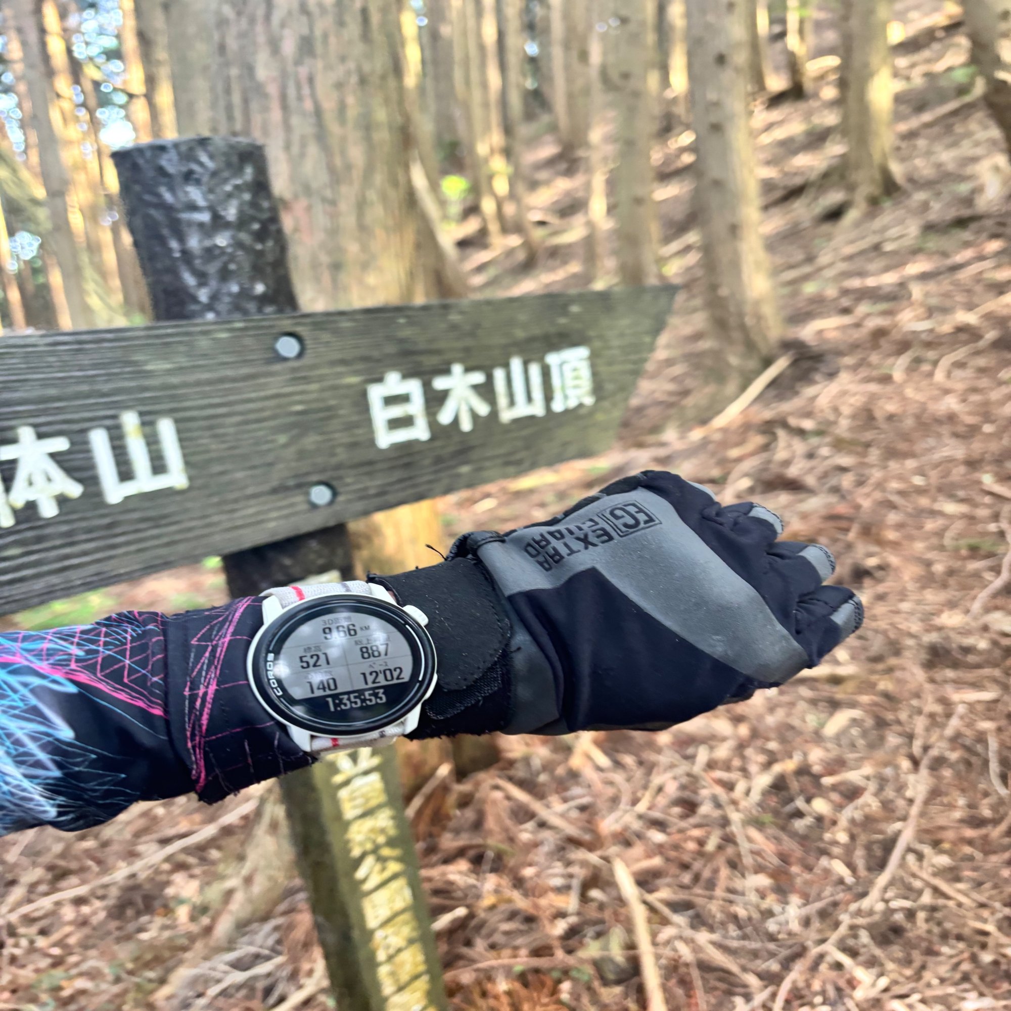 難トレイル+峠走【OSJ奥久慈トレイル50kレースレポ】2024年の難易度は？｜MIHO/酒婦ランナー