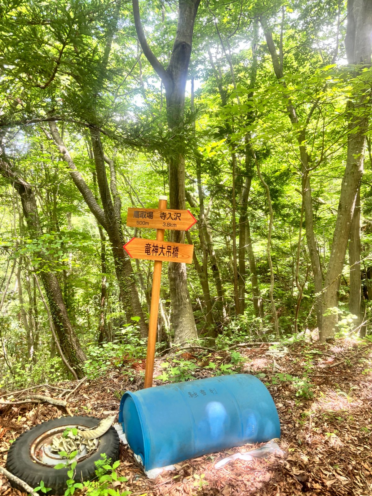 難トレイル+峠走【OSJ奥久慈トレイル50kレースレポ】2024年の難易度は？｜MIHO/酒婦ランナー