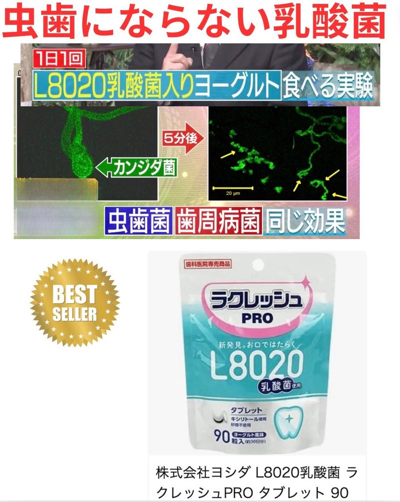 虫歯にならない乳酸菌L8020のタブレット｜日本一周、世界一周