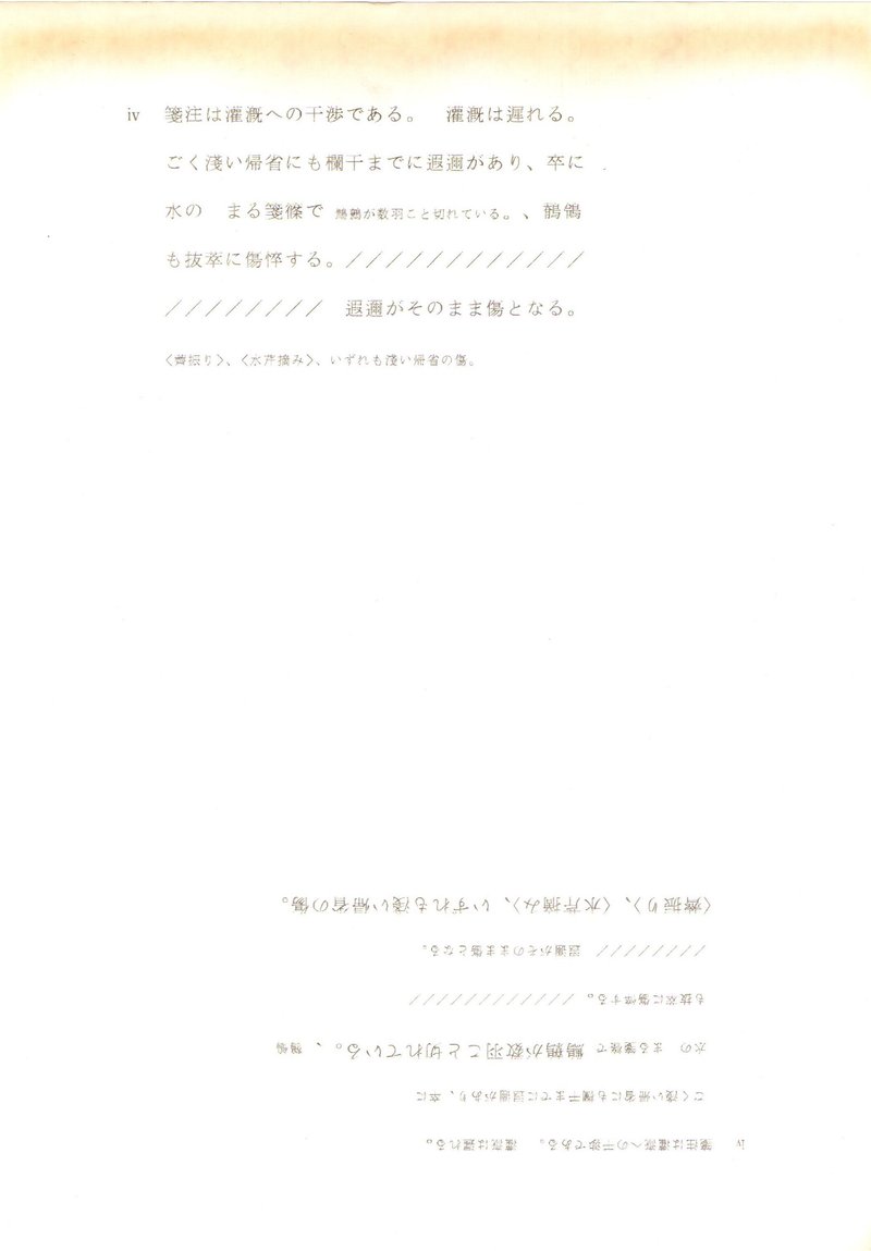 「鶺鴒一册」04｜薄井 灌 Kan Usui