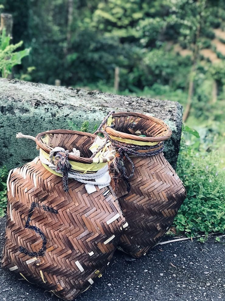 女王様のお気に入り、東方美人茶｜Lin Pinchun｜台湾出身の台湾茶研究家