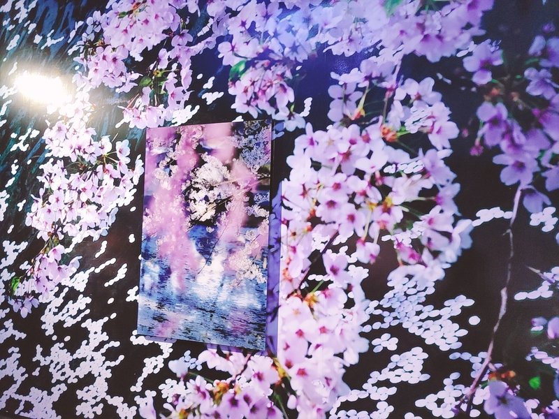 蜷川実花展 With EiM ‘’儚くも煌めく境界‘’｜山田スイッチ