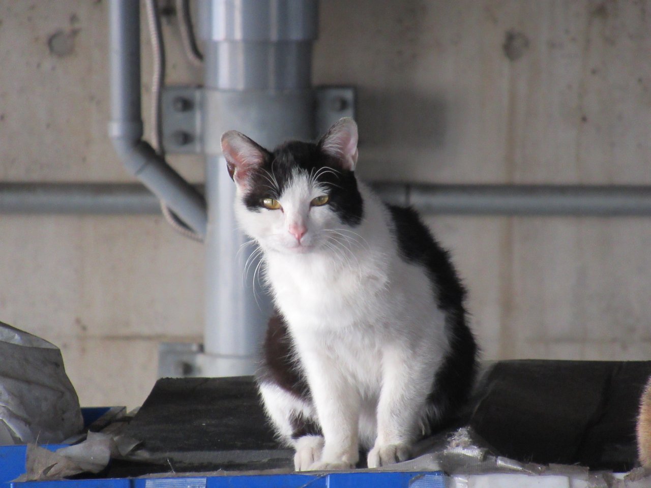 Daichi Okamoto｜note