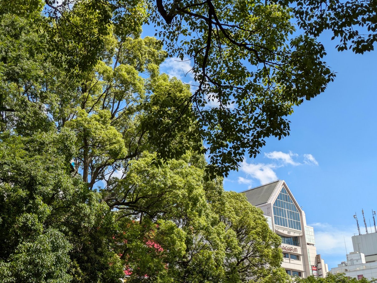 【テック】Google Pixel 8aで最高の写真を撮る｜EmuLog＠在宅ワーク&ガジェット好き&物欲解放の備忘録《シーズン3》