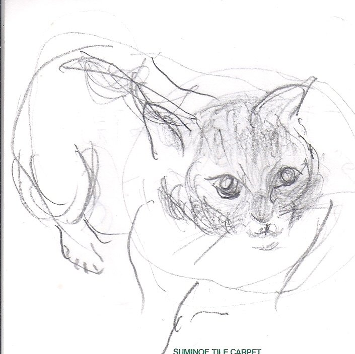 ブートン‐ 素描｜仁吾巴 妍 niaha ken