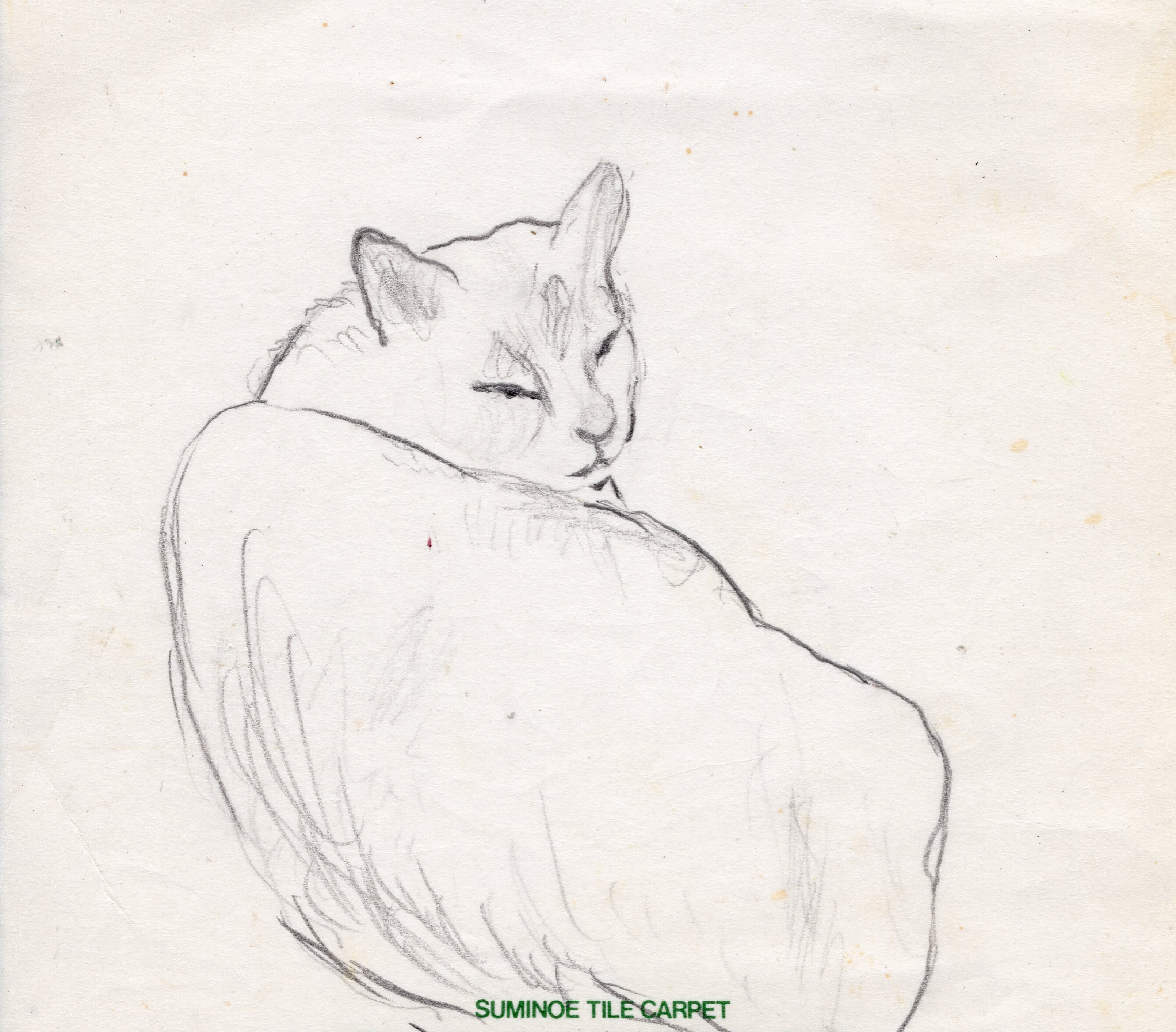 ブートン‐ 素描｜仁吾巴 妍 niaha ken