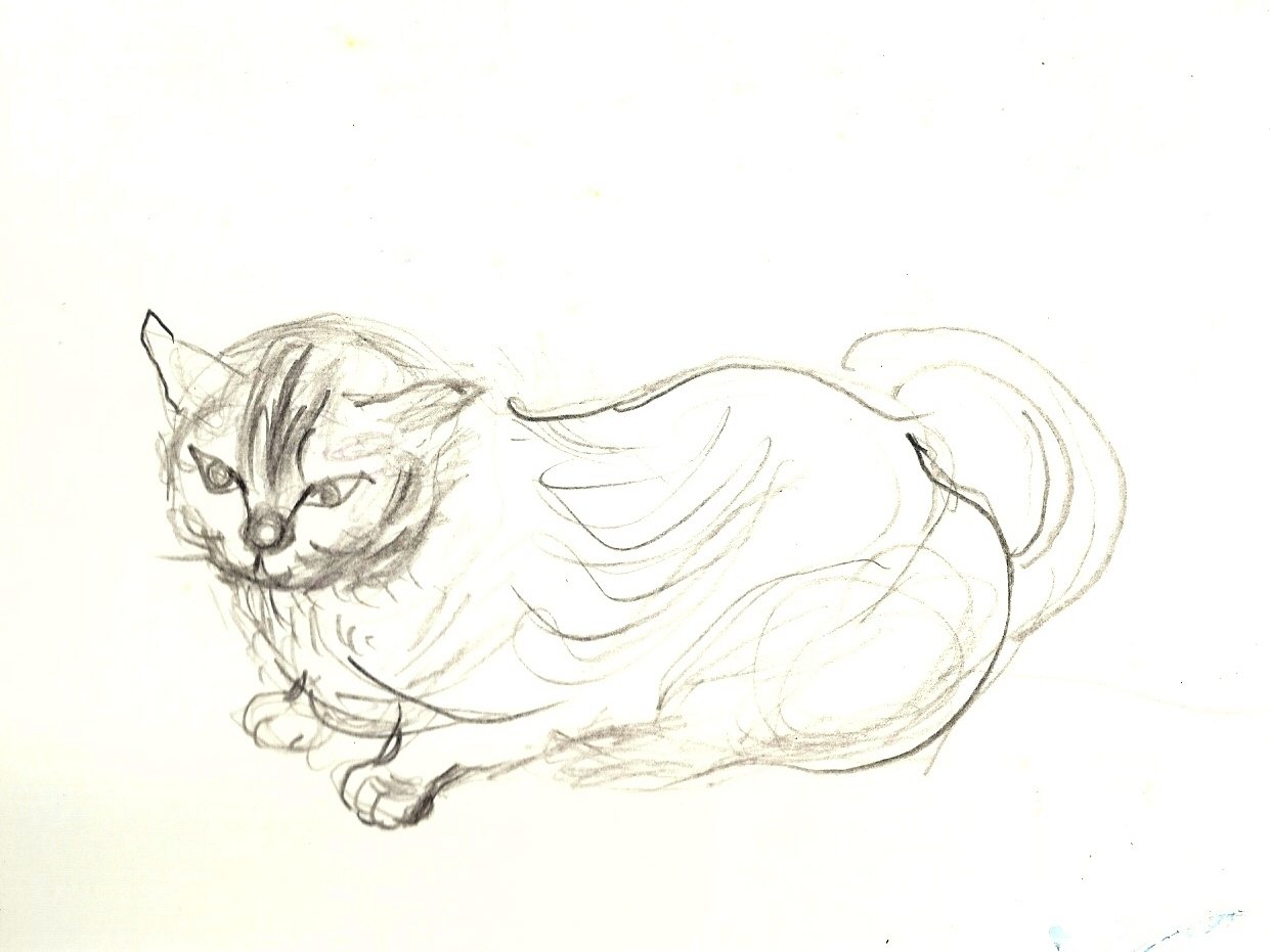 ブートン‐ 素描｜仁吾巴 妍 niaha ken