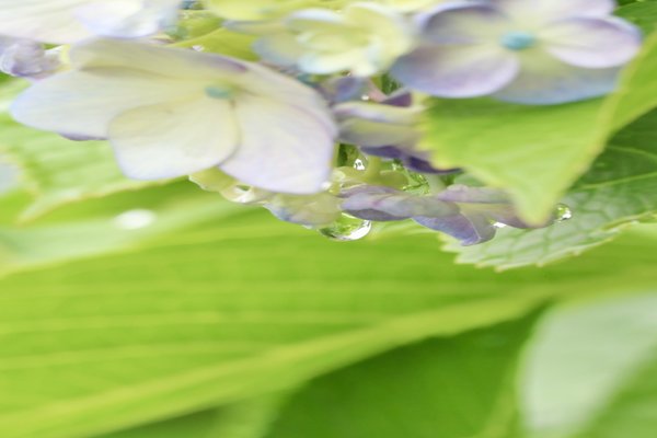 写真で癒す フォトセラピスト tsukimi f｜note