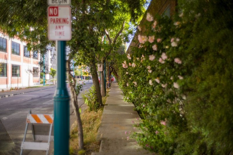 Saturday Morning Walk｜helloryuji