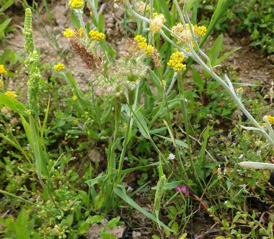 広がる方向｜きょく