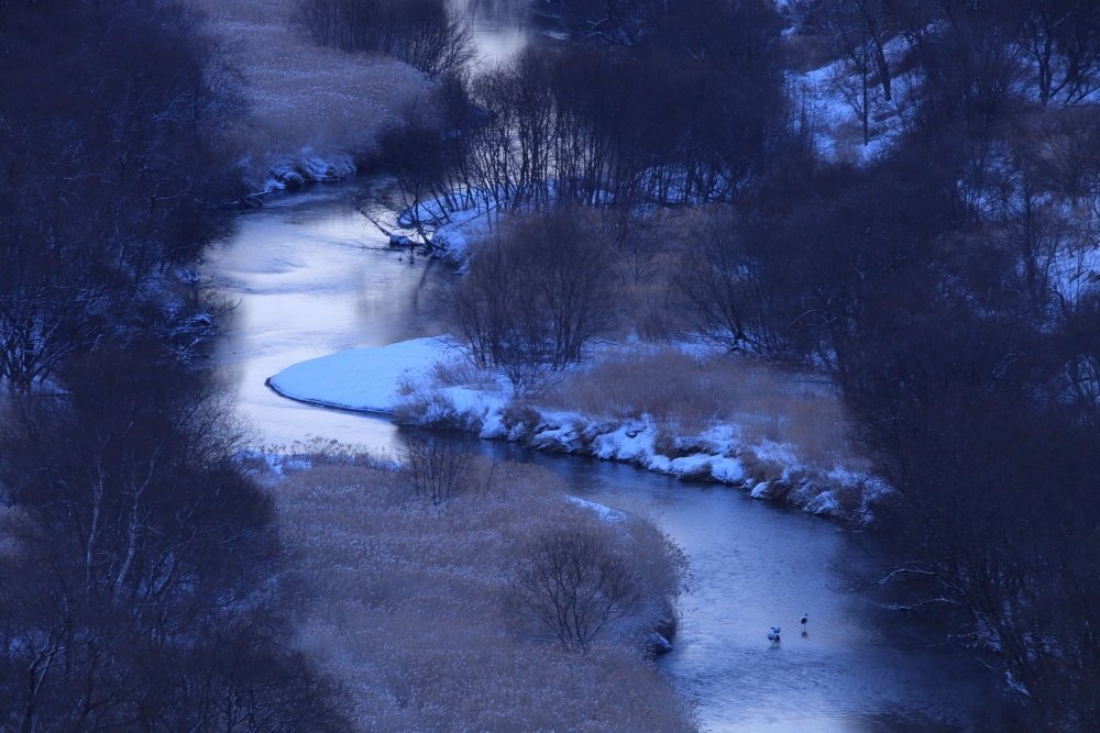 本当に良かった5D2｜Photozuka
