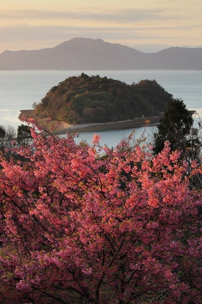 本当に良かった5D2｜Photozuka