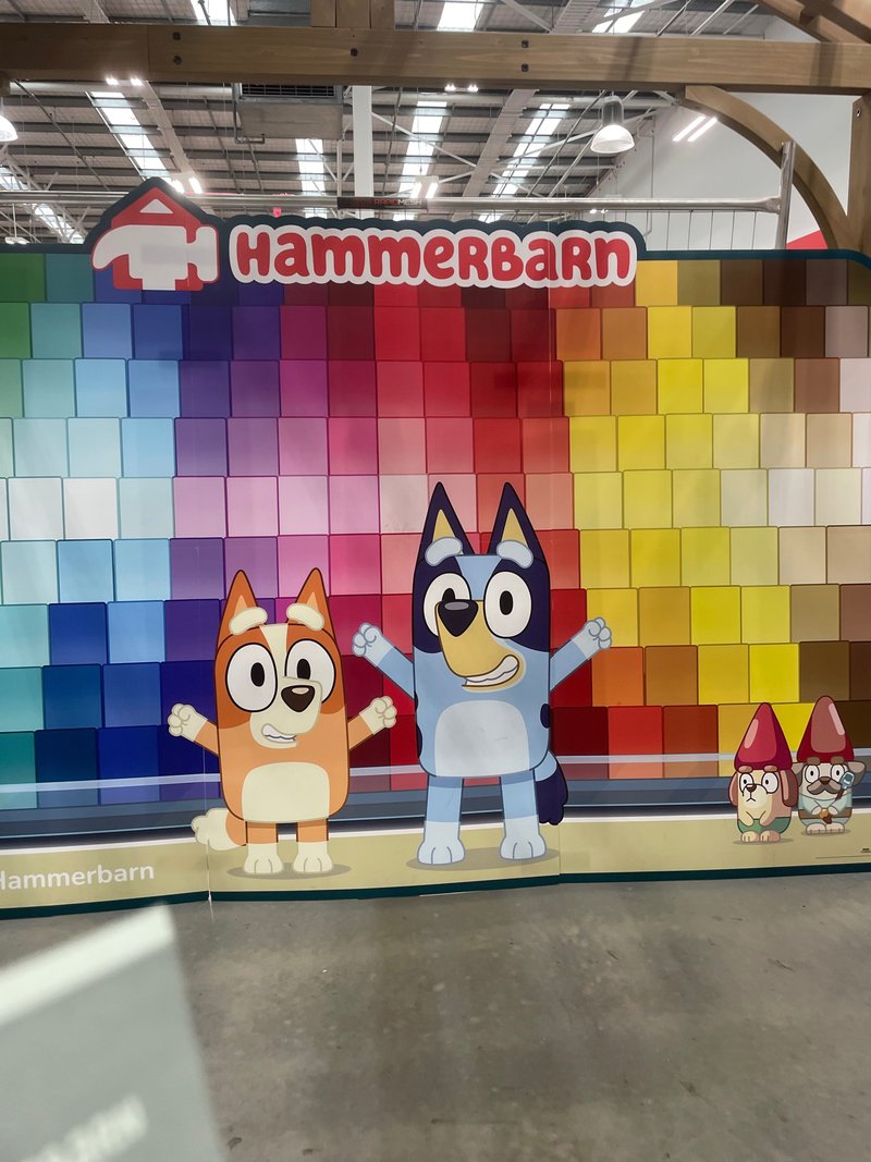 Bluey coins!!!｜Ichigo