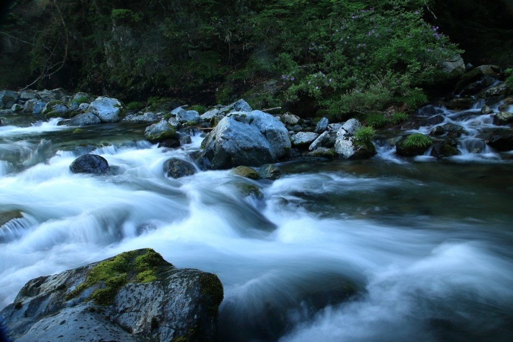 本当に良かった5D2｜Photozuka