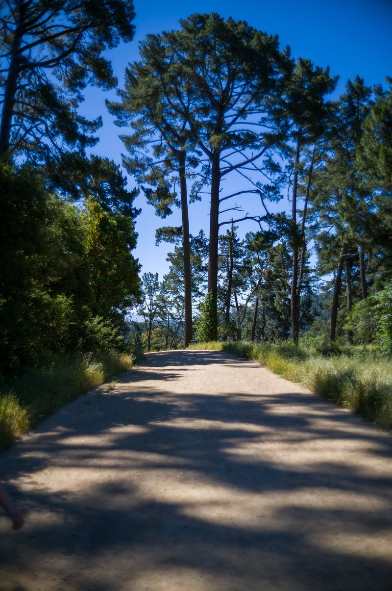ハイキングな水曜日｜helloryuji