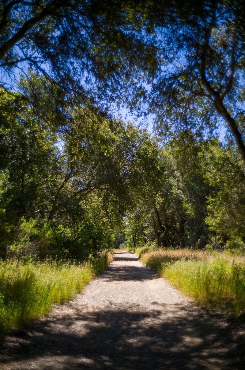 ハイキングな水曜日｜helloryuji
