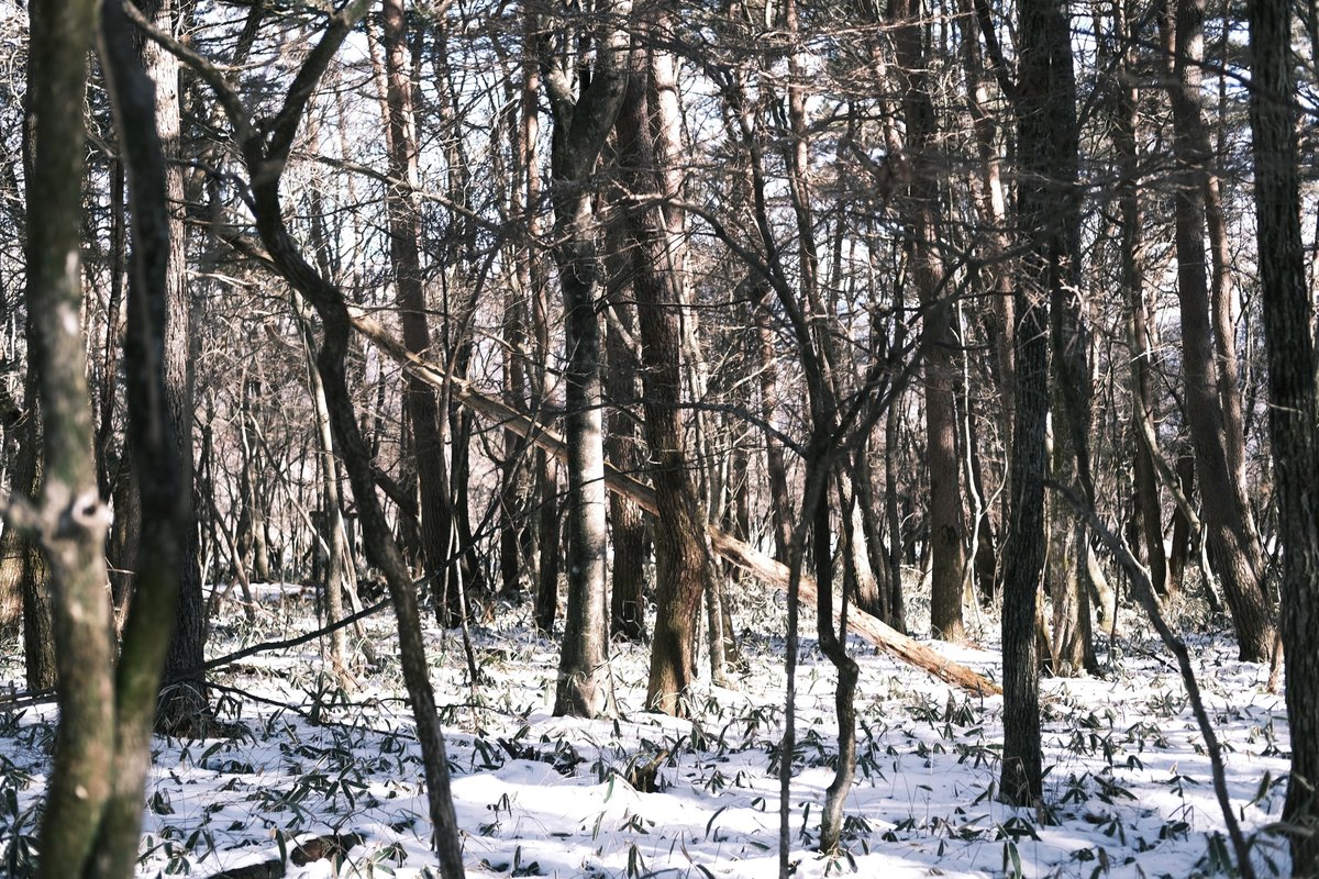 わからない”を受け入れることができた」DANRO JOURNEY参加者対談インタビューvol1｜DANRO inc.