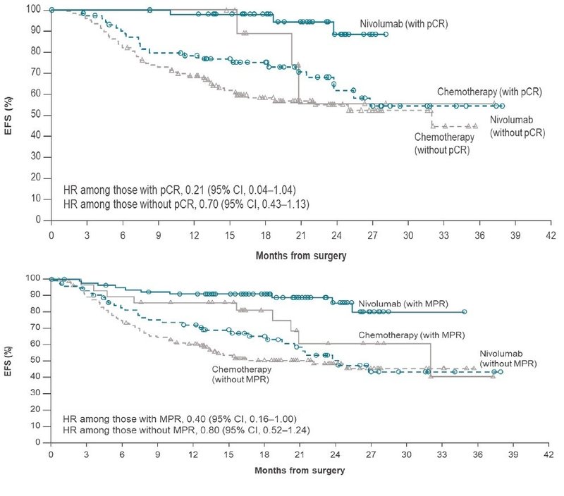 切除可能肺がんにおけるNivolumab周術期治療(CheckMate-77T)｜ruteth