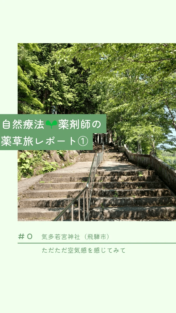 ひだ薬草旅レポート①｜自然療法🌱薬剤師/ハーブボール調合師のnote｜彩irodori AYA