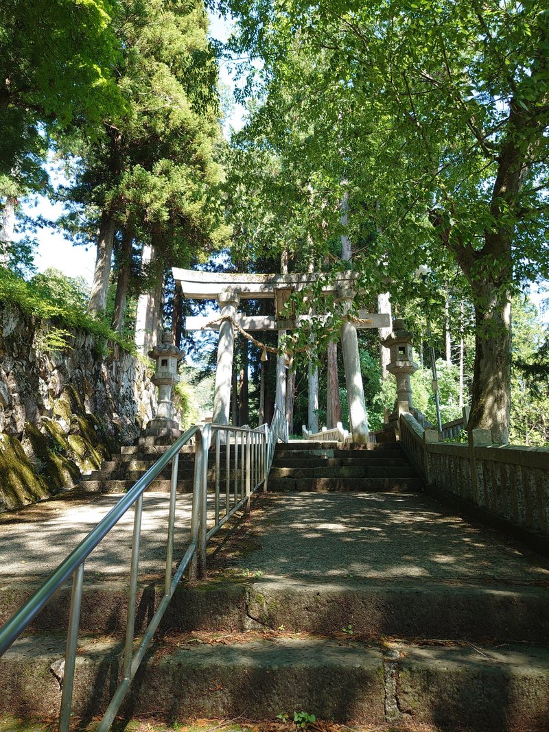 ひだ薬草旅レポート①｜自然療法🌱薬剤師/ハーブボール調合師のnote｜彩irodori AYA