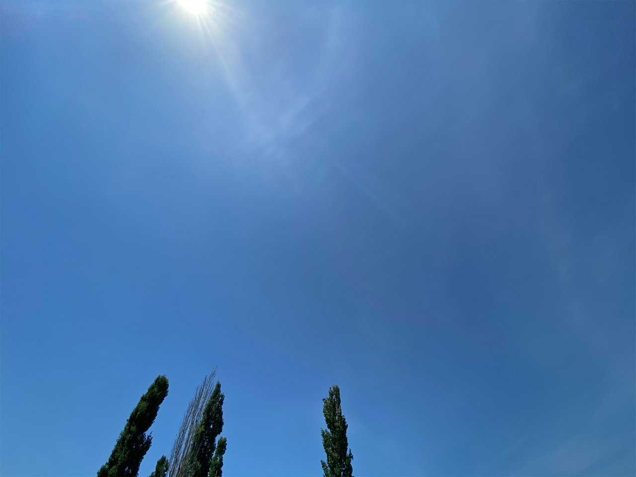 まさ / Atelier Masa｜note