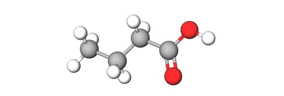 Off Flavor入門〜⑱酪酸｜Shiro Yamada