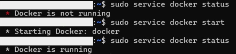 Docker EngineをWSLへインストールする方法｜株式会社D4cプレミアム