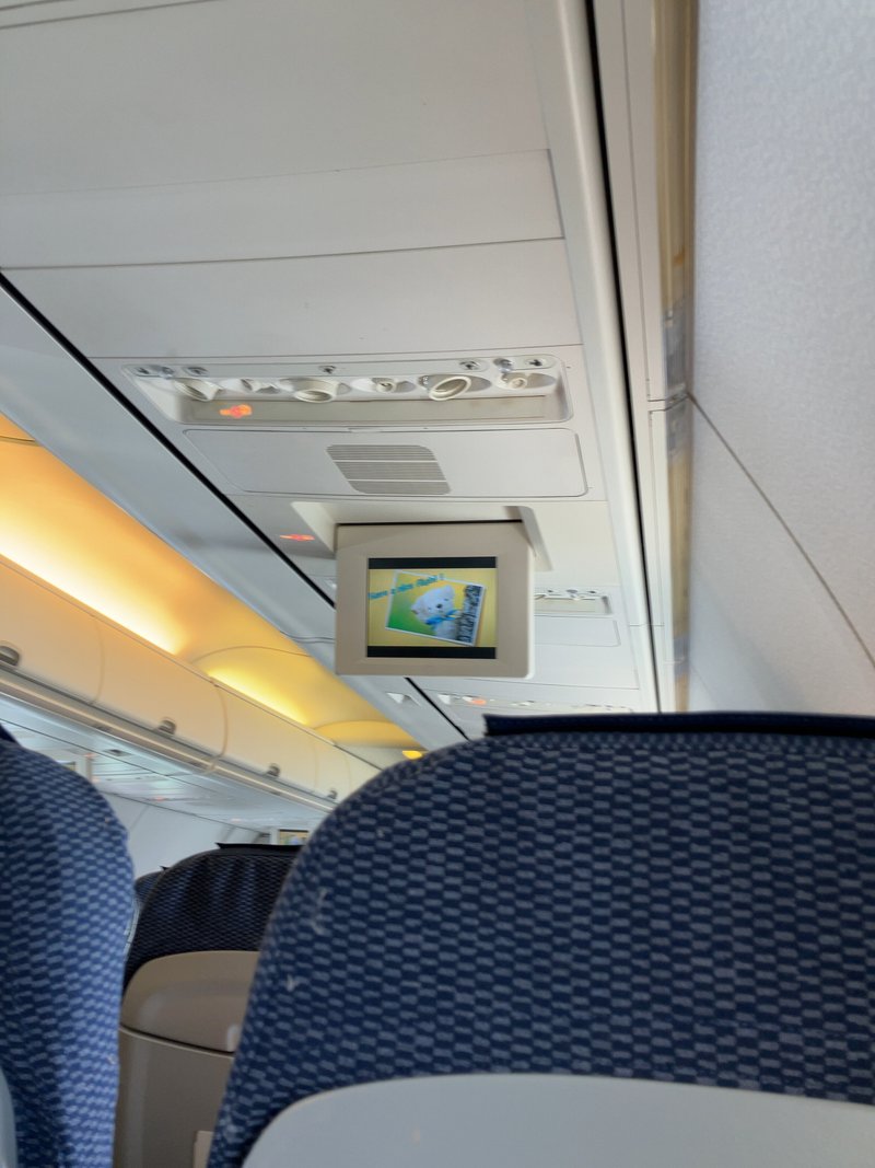 【AIRDO搭乗記・HND→OBO】CA受験のご参考になりますように｜【CA.jp】CA/GSオンラインスクール