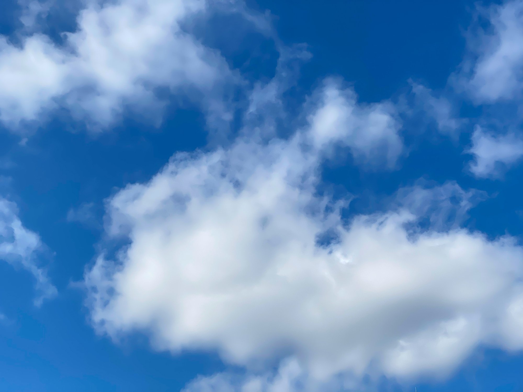 空：2024.6.10｜Shin