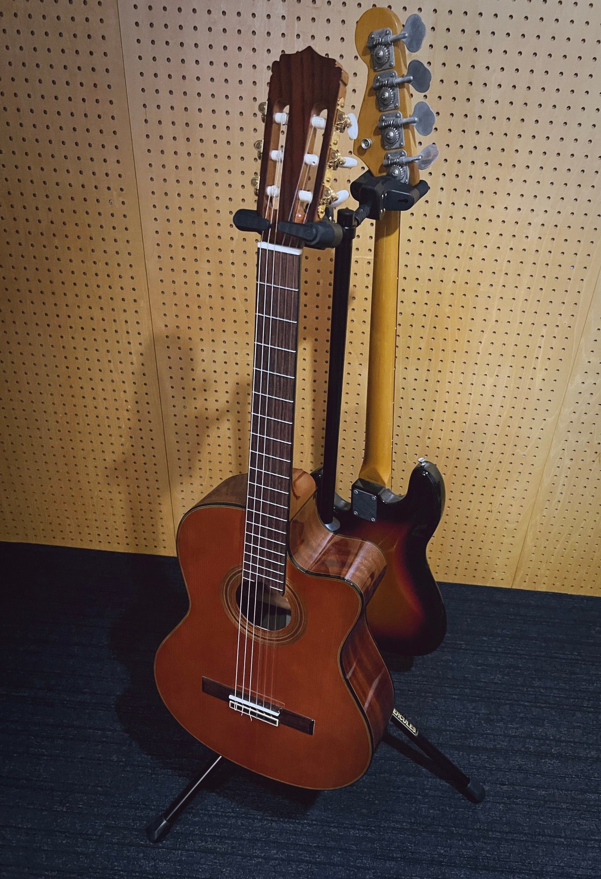 【機材レビュー】HERCULES 2本用ギタースタンドの紹介｜Shin Komuro