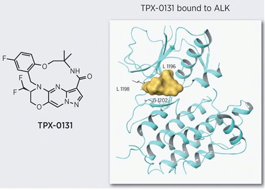 TPX-0131（Turning Point Therapeutics &BMS）｜Chiku-note.