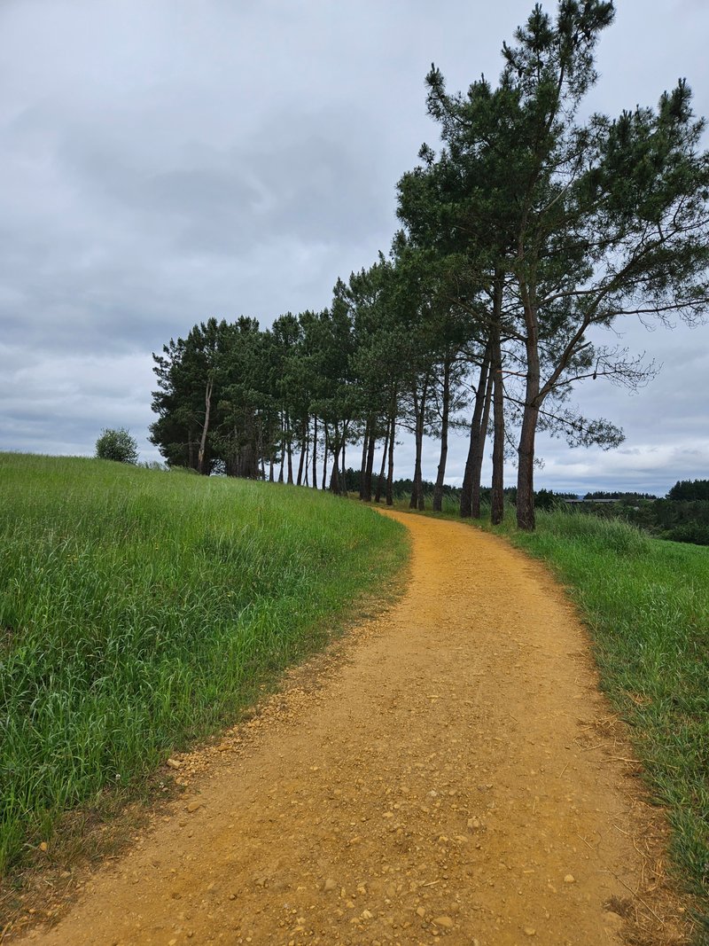 せかいたび32-33日目240609-0610🇪🇸サリア〜ゴンザ〜メリデ｜いーぴん