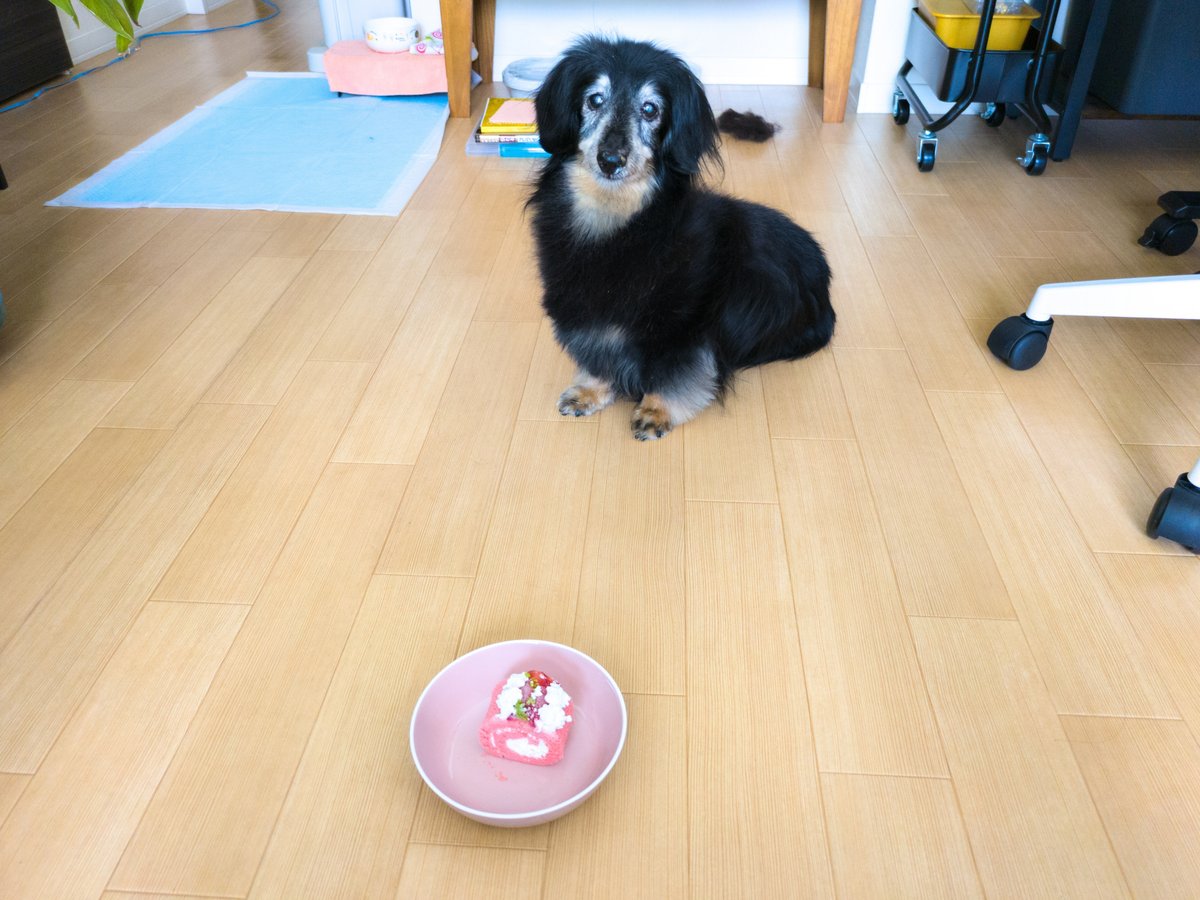 わたし、19歳になりました｜EmuLog＠在宅ワーク&ガジェット好き&物欲解放の備忘録