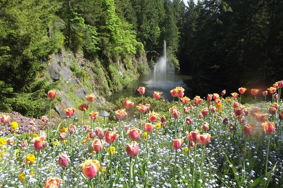 カナダの素晴らしき庭園「ブッチャートガーデン」｜JUNJUN