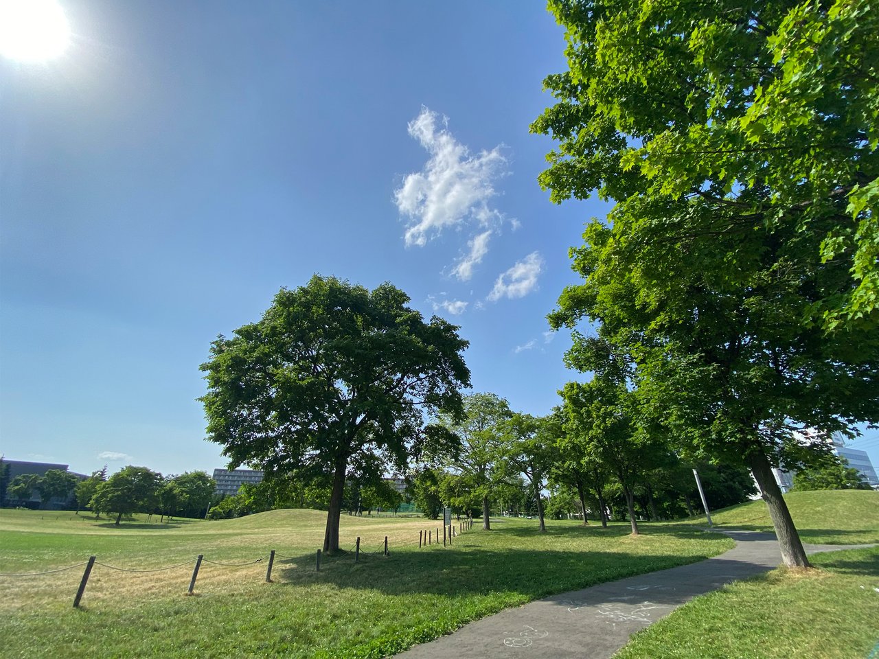 まさ / Atelier Masa｜note