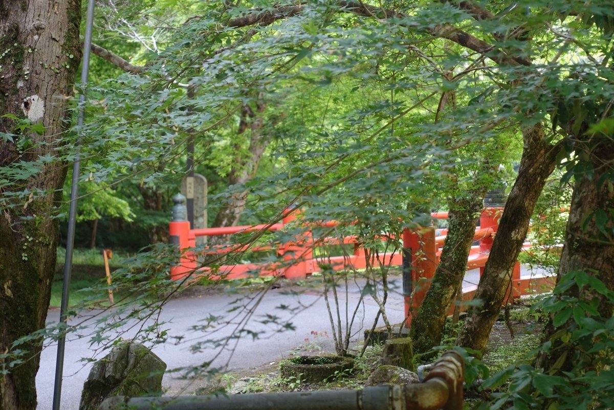 周山街道をゆく chapter2-2 錦雲渓(1)｜seiyuuudoku 無名人 晴遊雨読